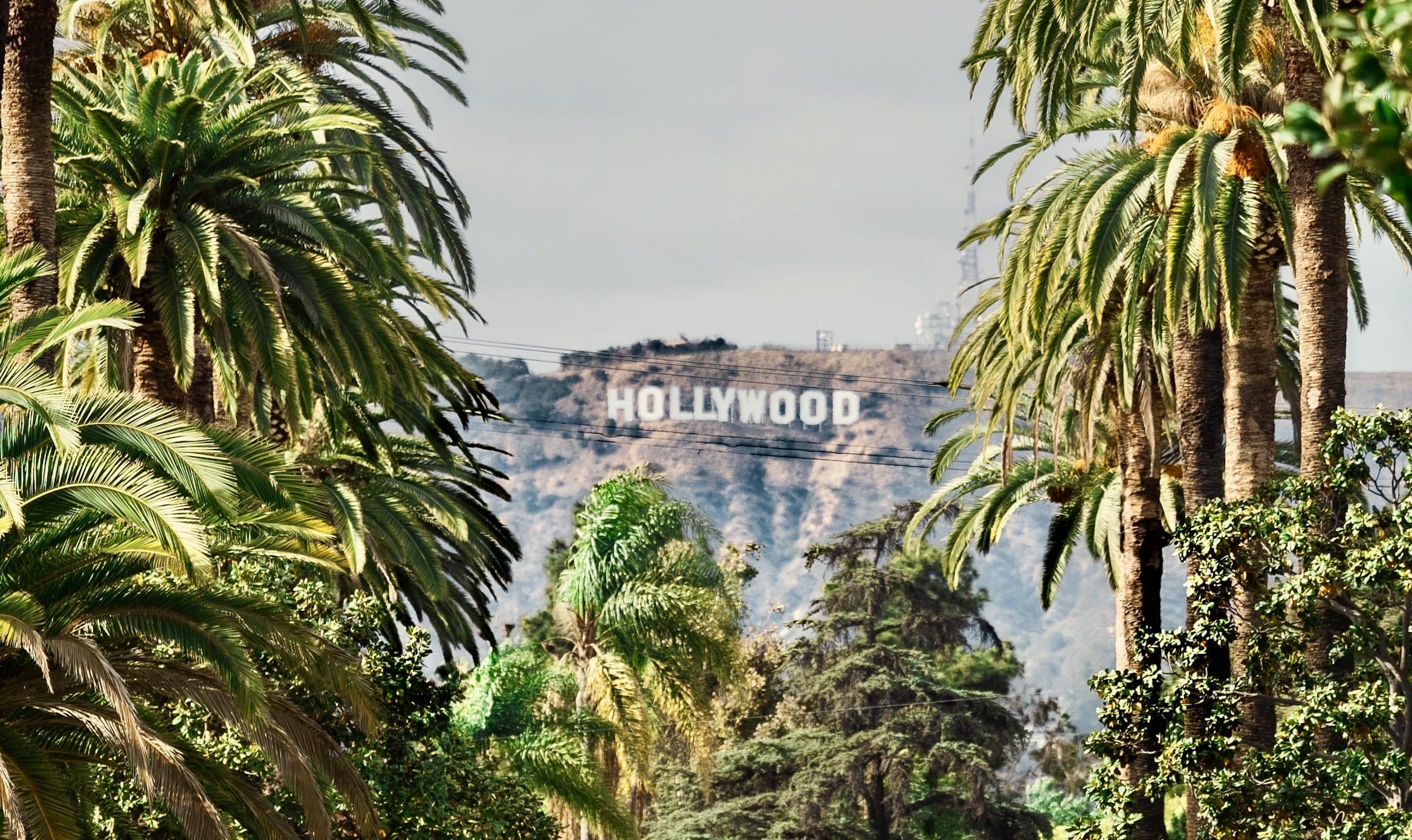 HOLLYWOOD BIKE TOUR - Fat Tire Bike Tours